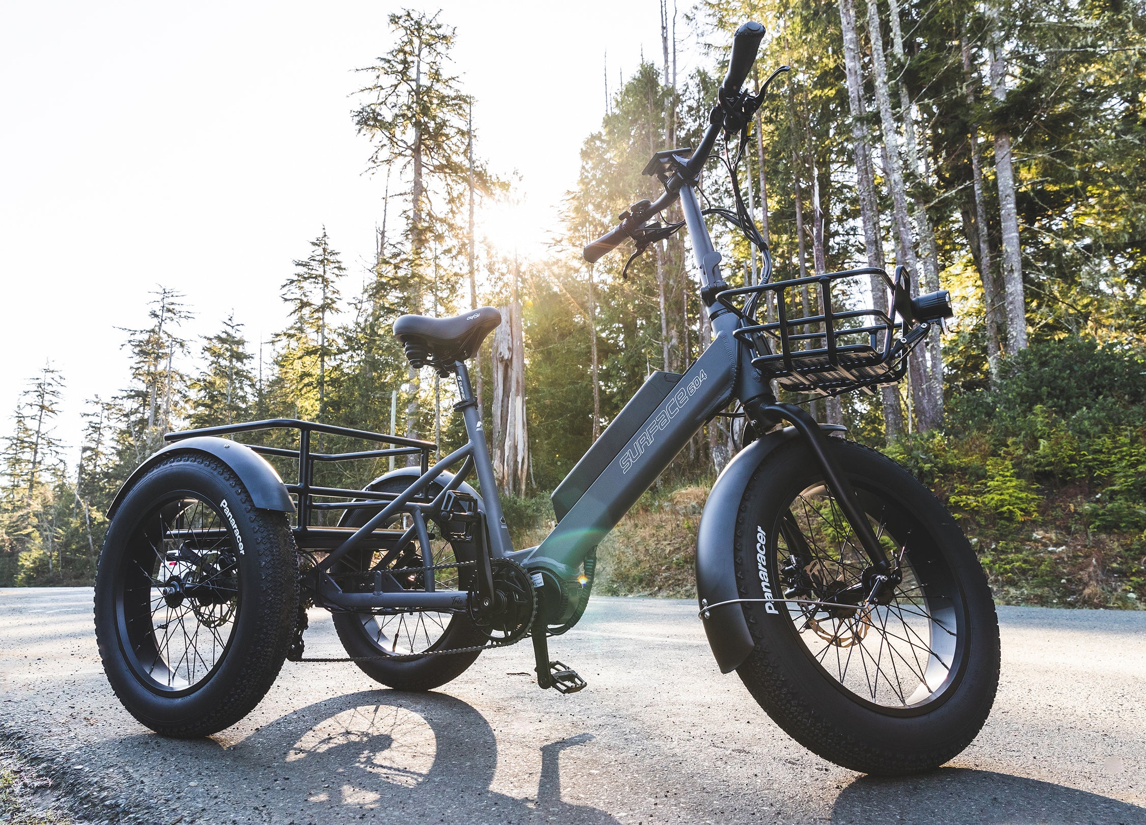 Trikes - Fast Shipping Nationwide – eBikesCalgary
