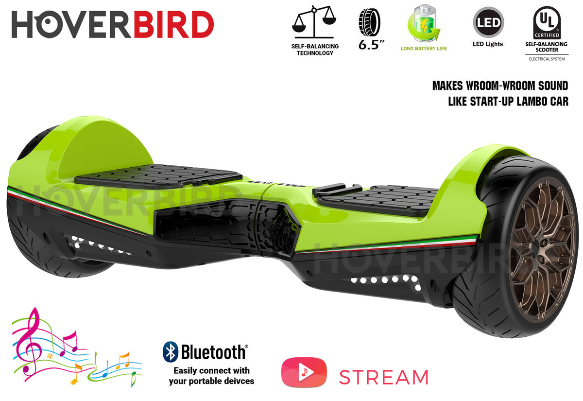 Hoverbird Heavy Duty ES11 UL2272 500 Watt Hoverboard Green – eBikesCalgary